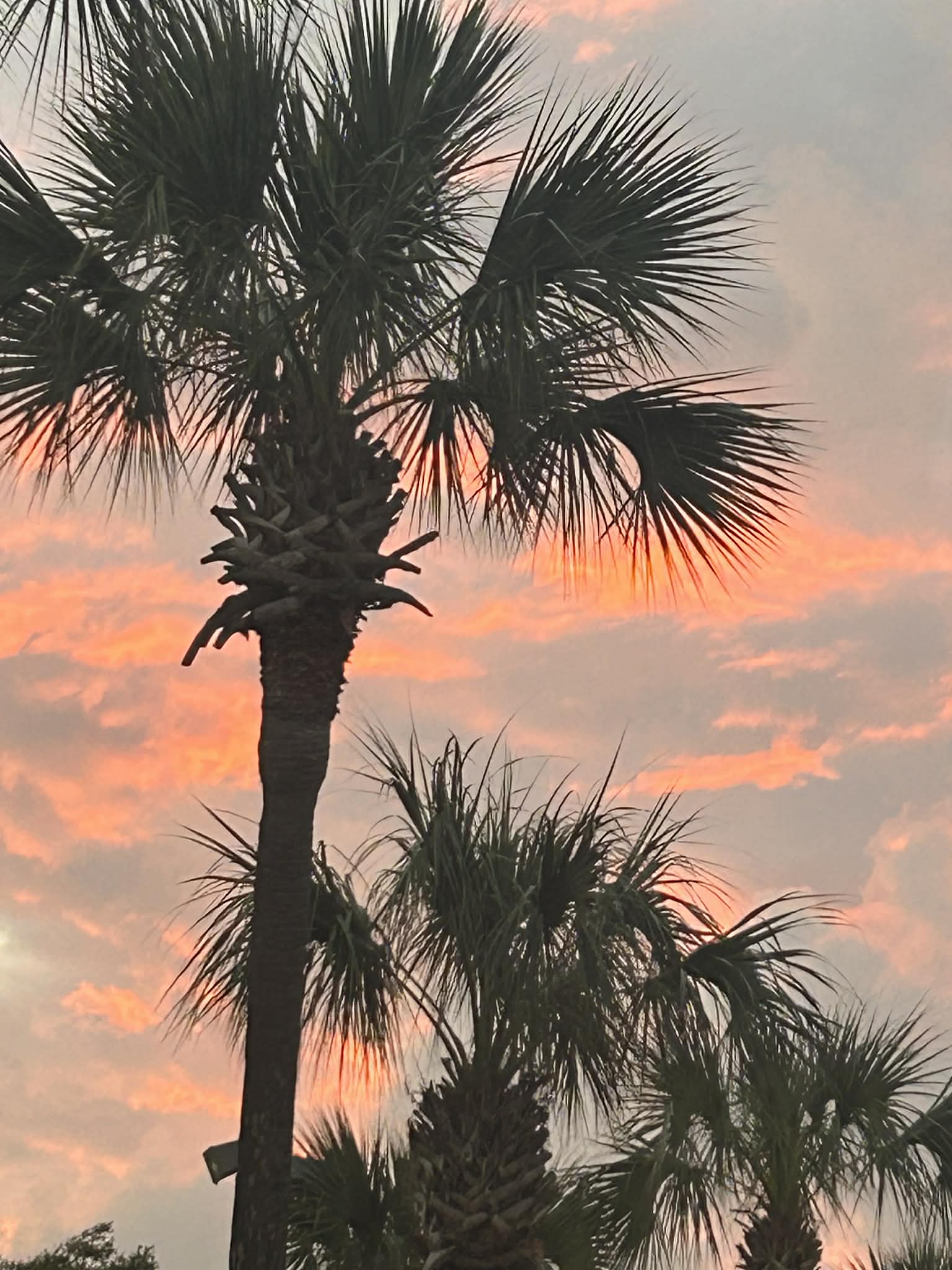 Follow the suggestions… – Midlife Traveling Mayhem